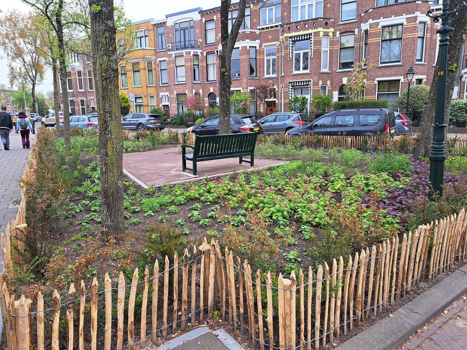Vergroenen met visie: hoe Scheveningen verandert van steenwoestijn naar ...